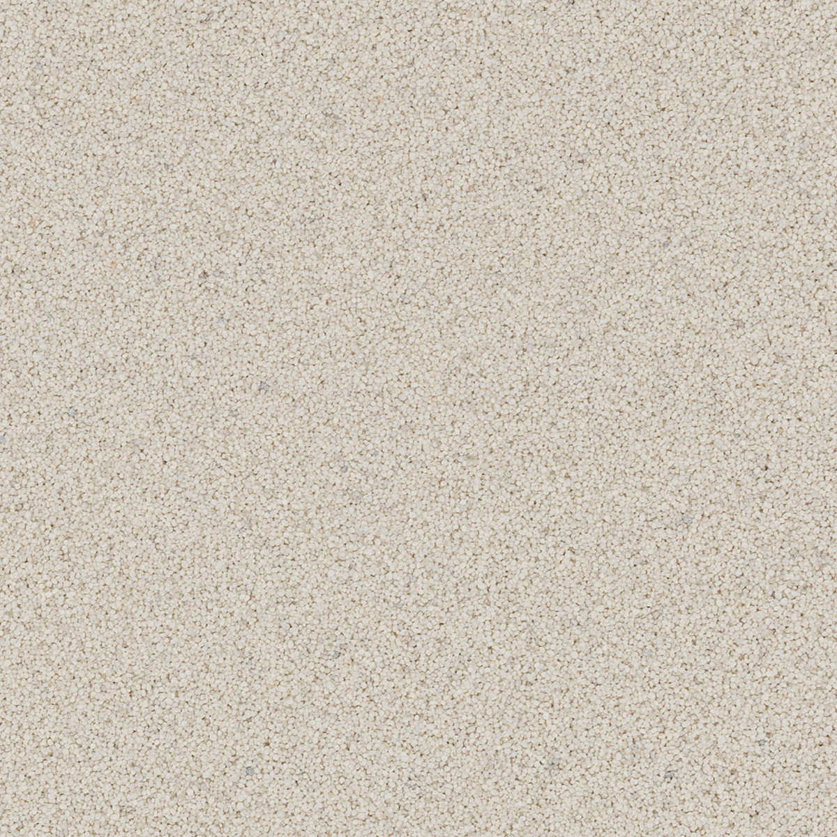 Solids | Torginol, Inc.